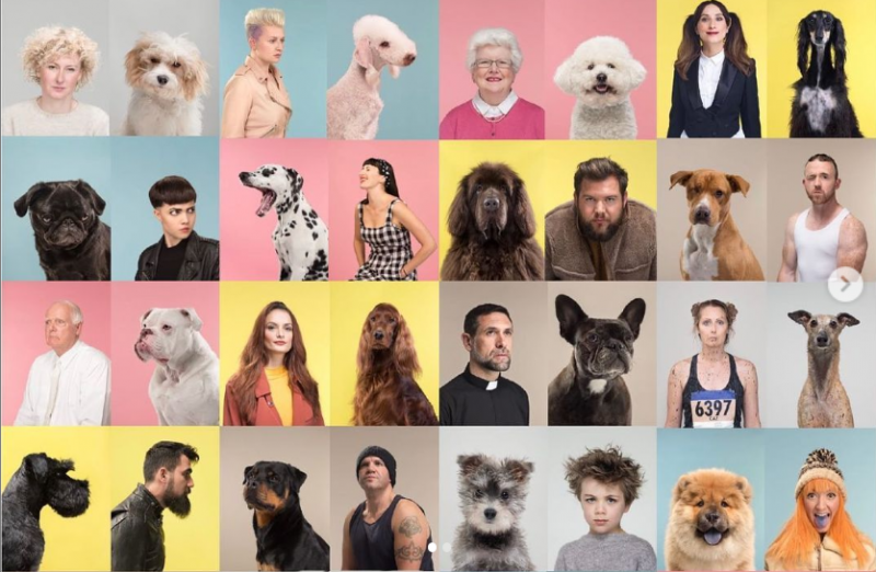 Waarom lijken hondenbezitters op hun honden? - Tinberdog